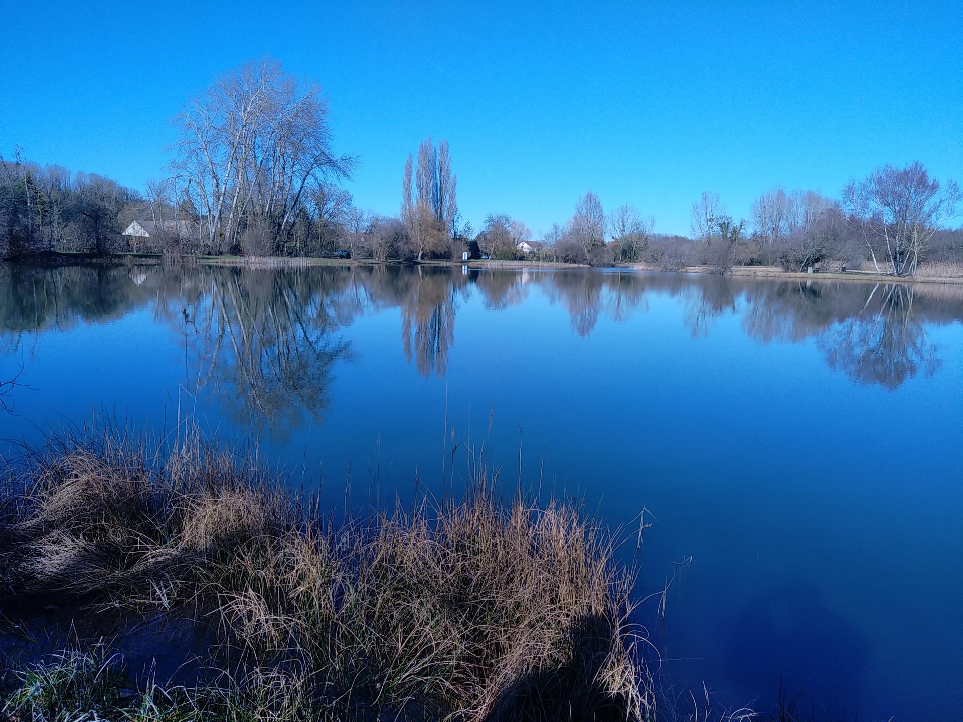 Etang de Coings - Fédération de pêche de l'Indre